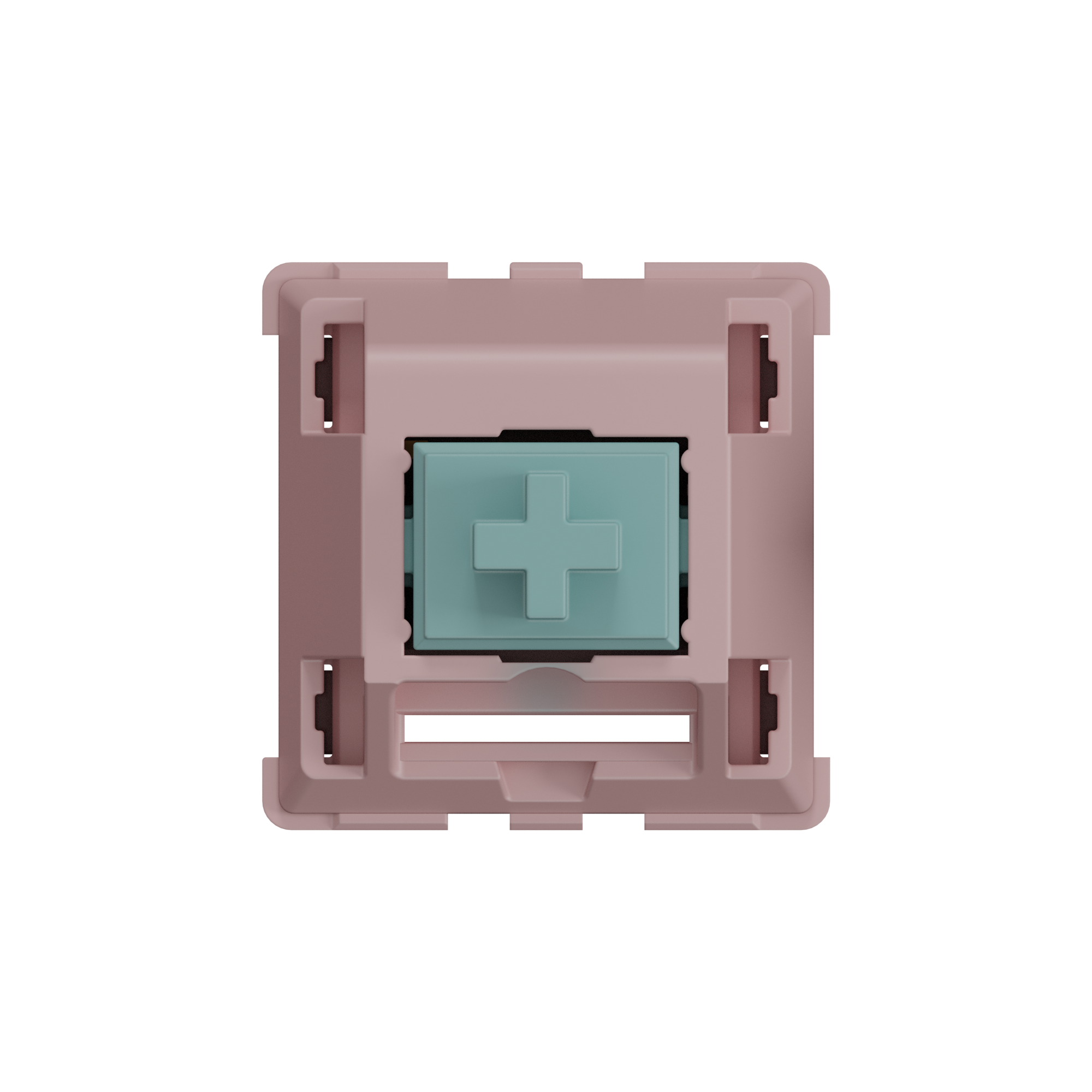 Switches | CandyKeys