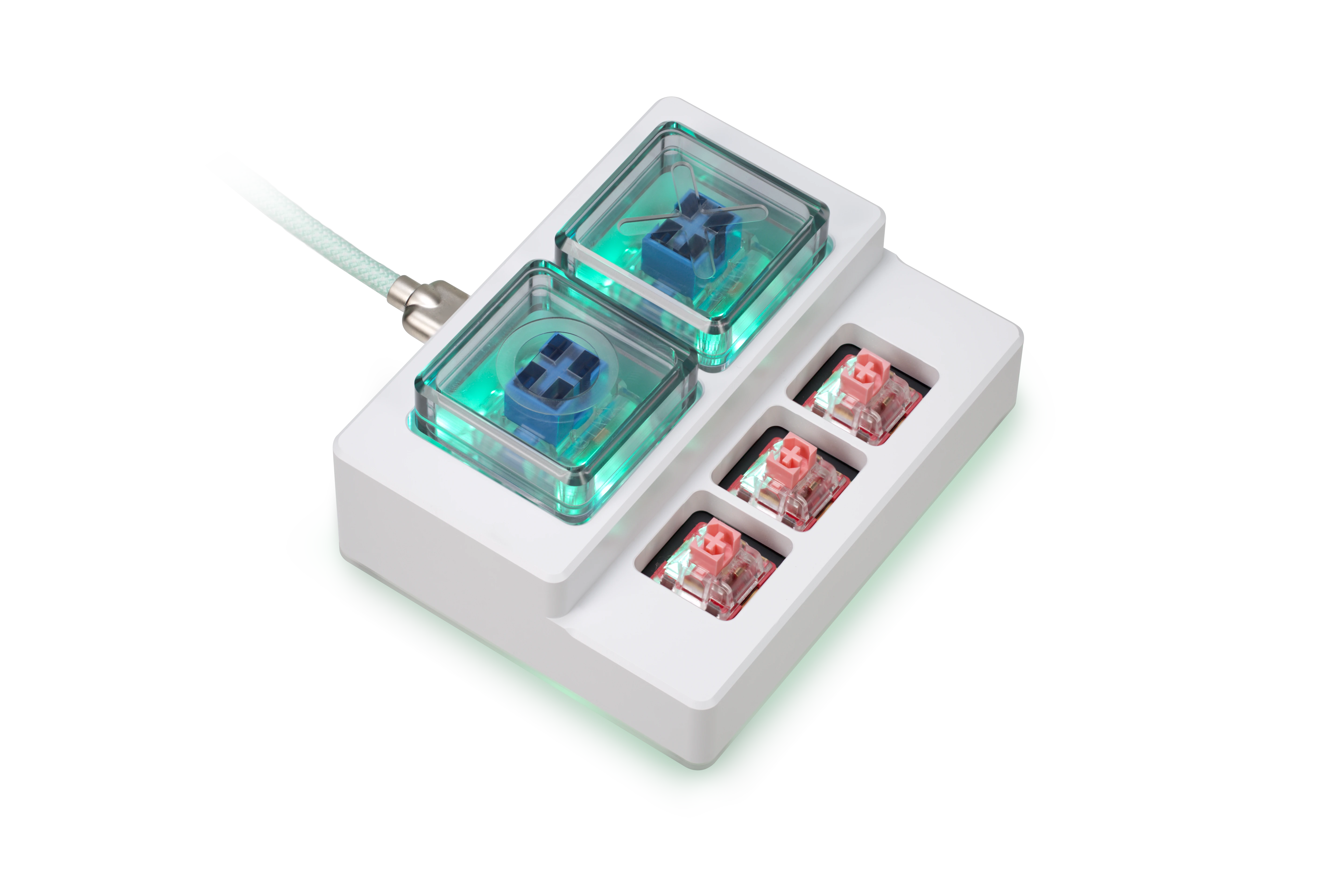 Megalodon Macro Pad | CandyKeys